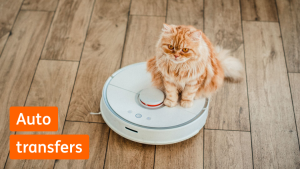 PayID® - ING Help Hub