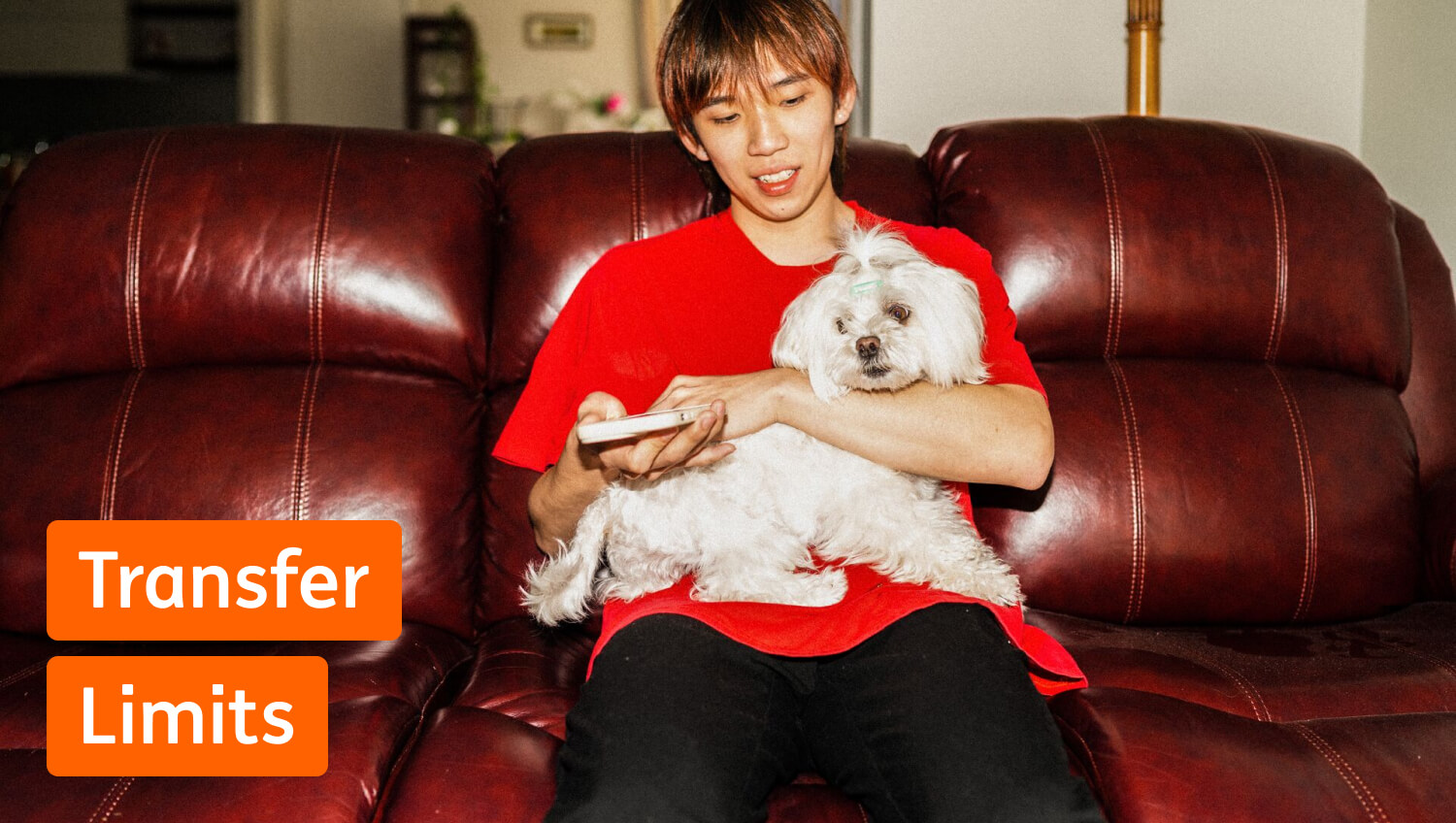 When will my transaction go through? - ING Help Hub