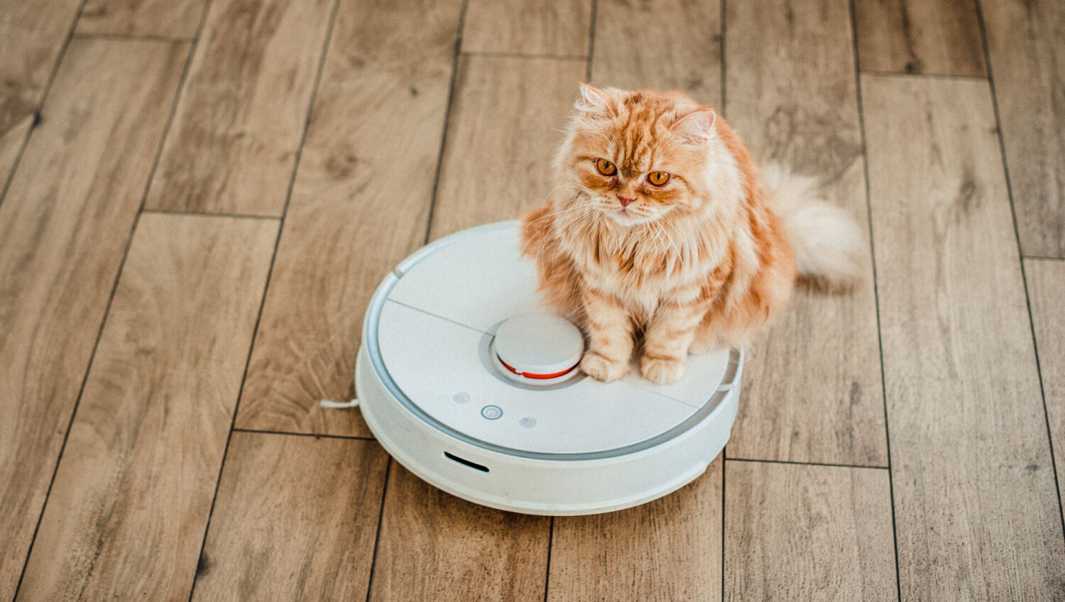 How do I activate my card? - ING Help Hub