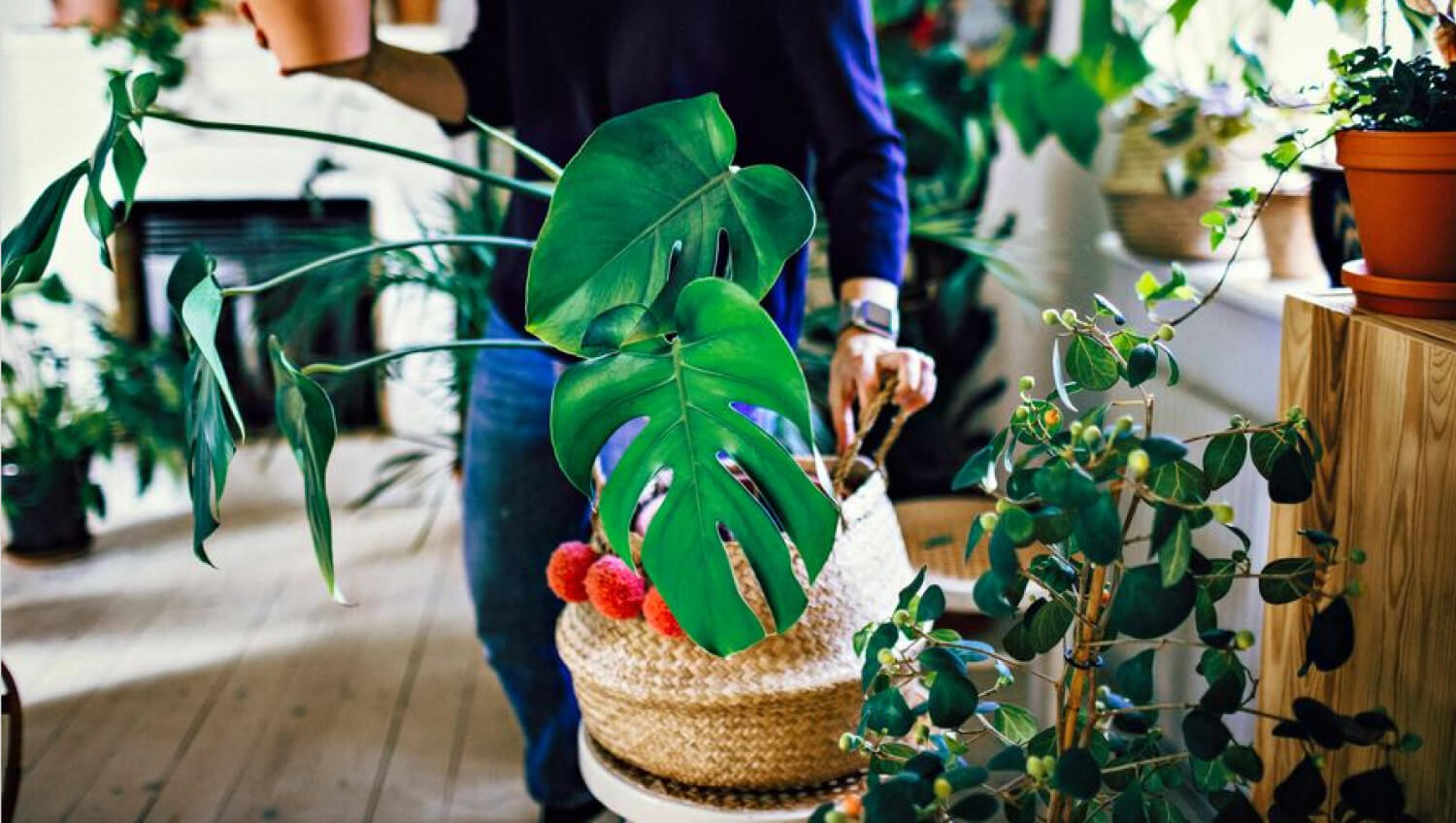 Managing Home Loan repayments. - ING Help Hub